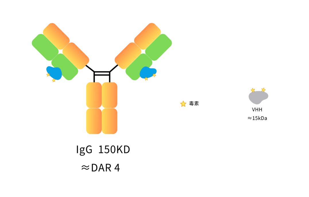 Anti-Human IgG Fab, AlpSdAbs® VHH(VcDXD ×4) - 临界点生物